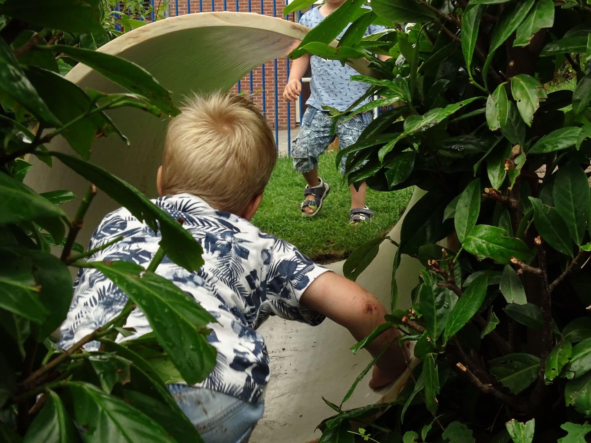 Kinderdagverblijf Beregoed te Dronten | Kinderopvang WildeWijs